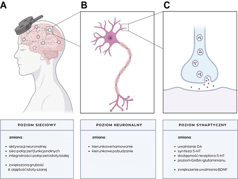 Terapia TMS: przezczaszkowa stymulacja magnetyczna | Centrum Medyczne ...